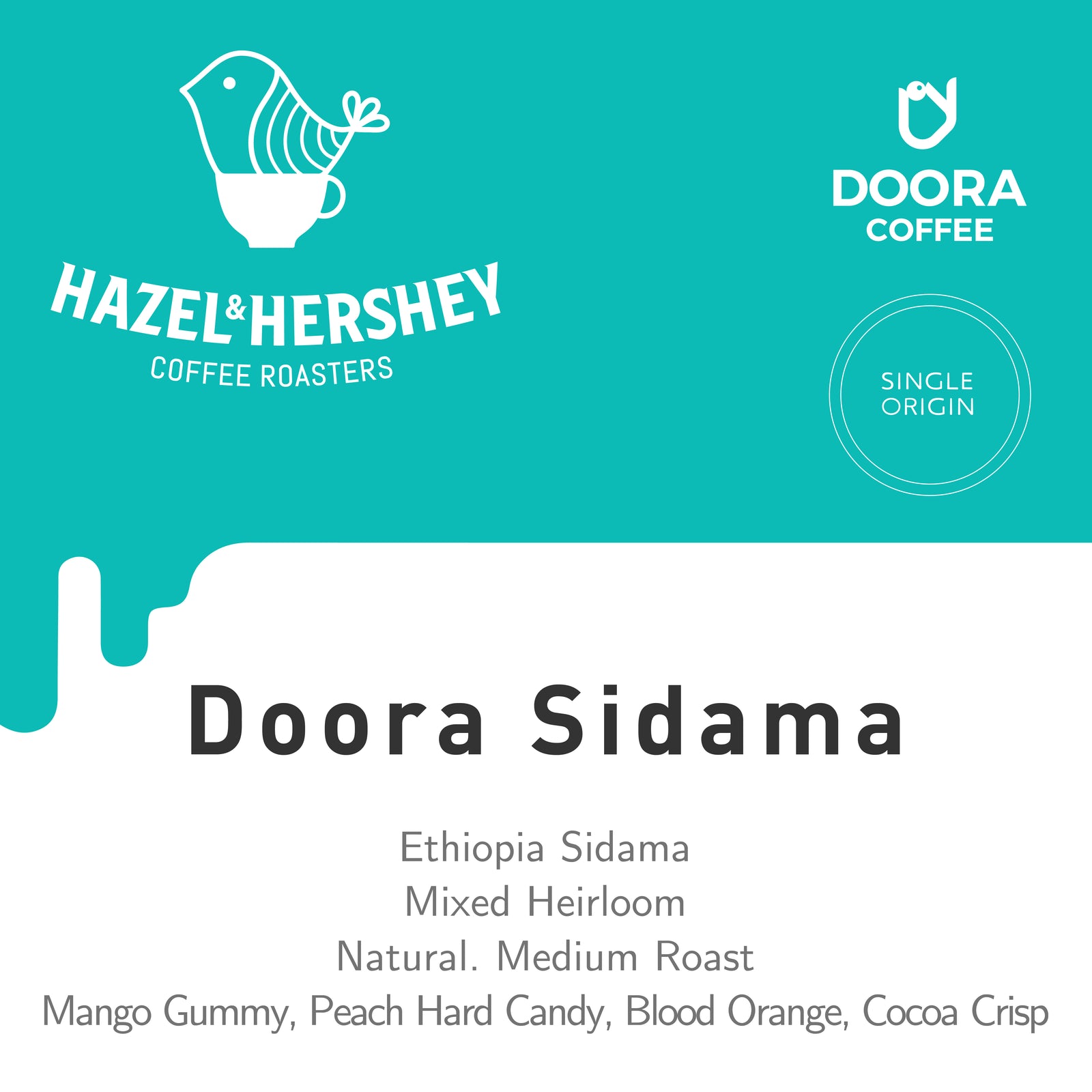 Doora Sidama – Hazel & Hershey Coffee Roasters