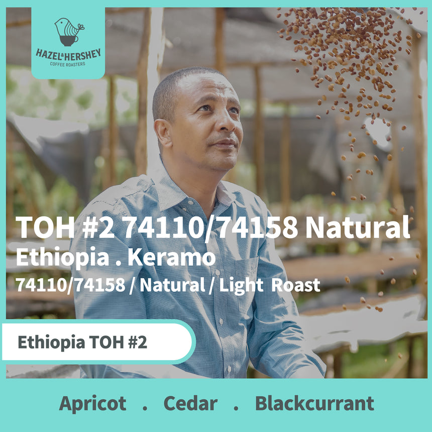 Roasted Coffee Beans | Africa – Hazel & Hershey Coffee Roasters