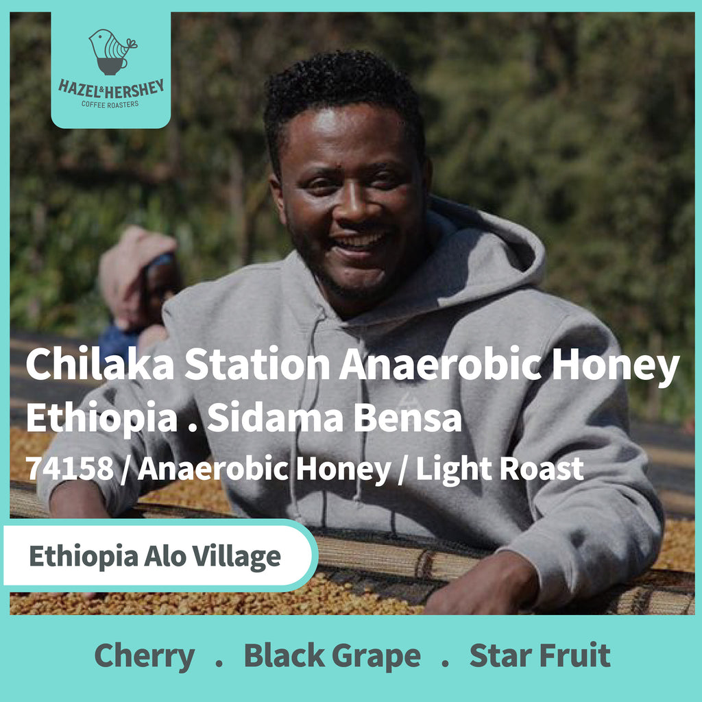 Ethiopia Alo Village Chilaka Station Anaerobic Honey – Hazel & Hershey ...