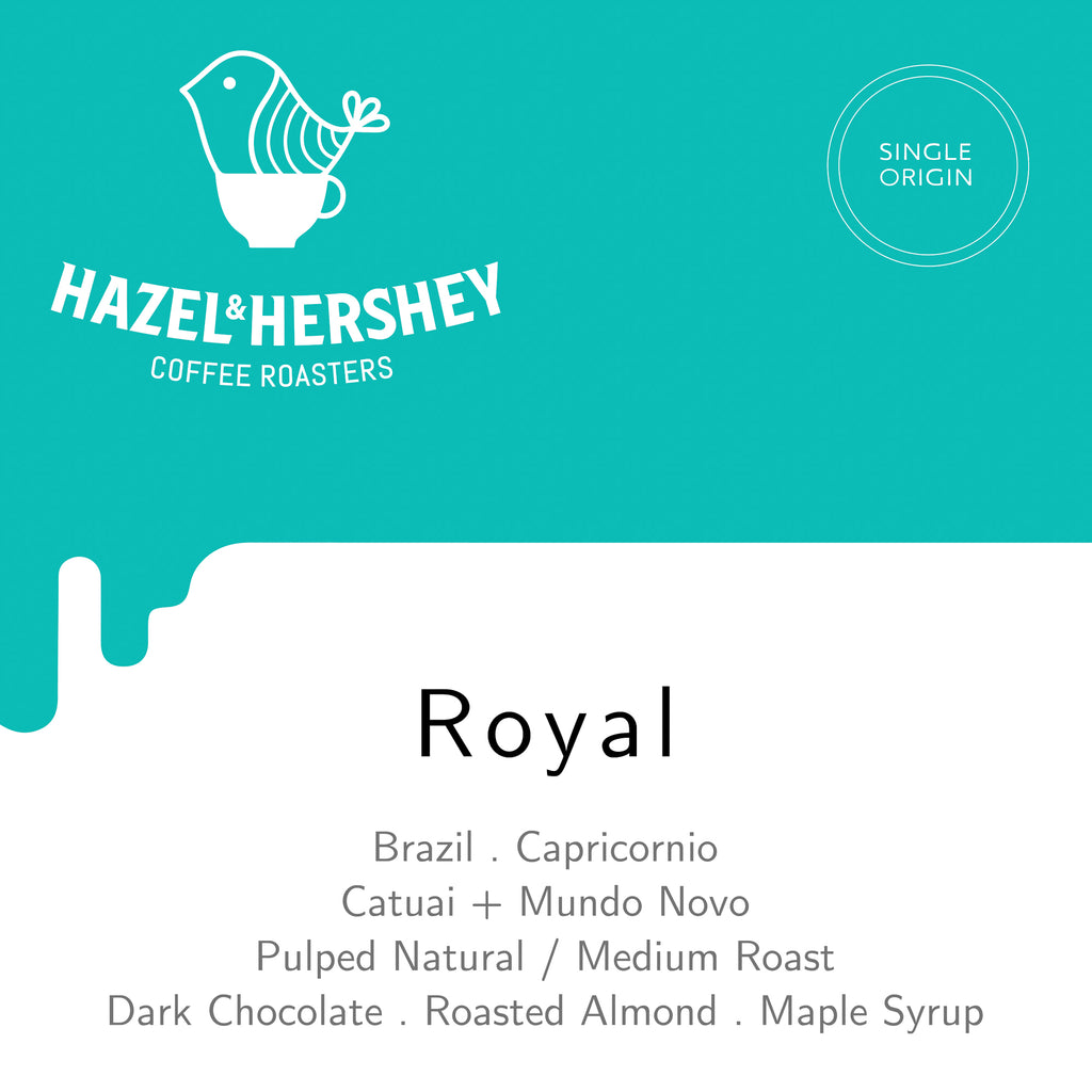 Roasted Coffee Beans | ALL – Hazel & Hershey Coffee Roasters