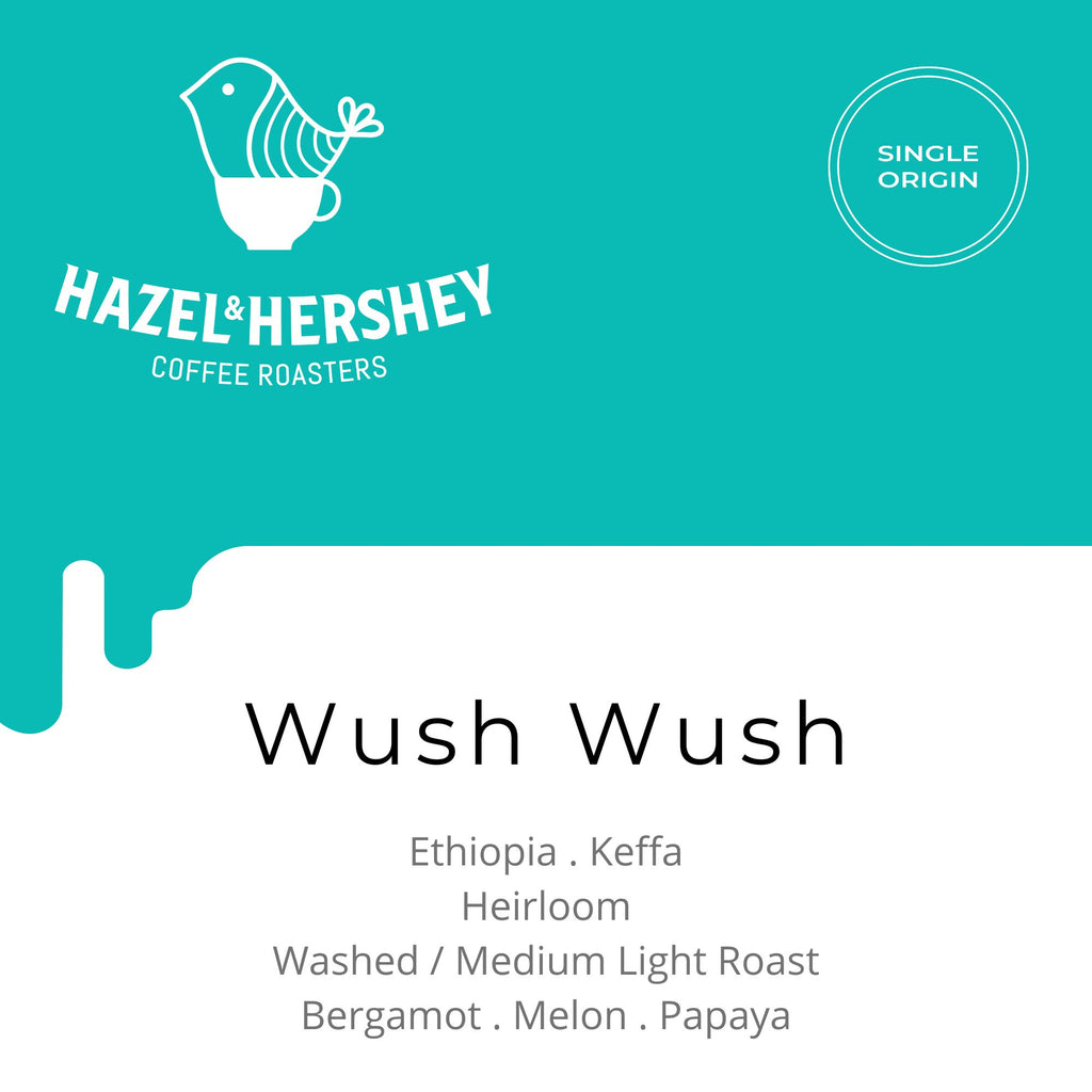 Ethiopia Keffa Wush Wush Washed (Sold Out) – Hazel & Hershey Coffee ...